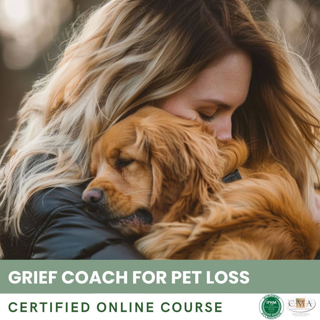 Intro – Certified Excellence