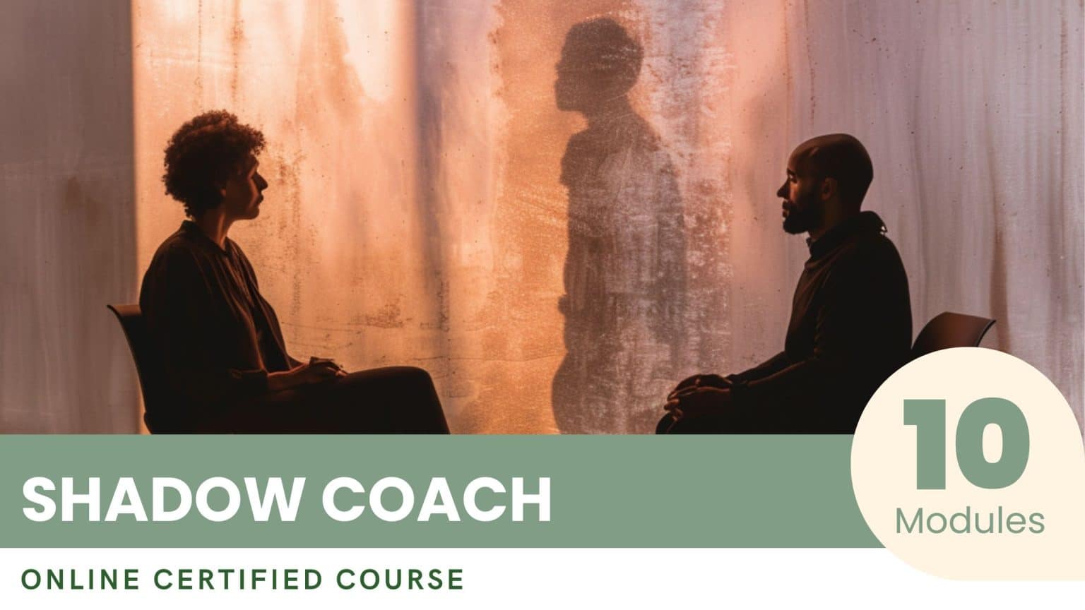 Certified Course to Become a Shadow Coach – Certified Excellence