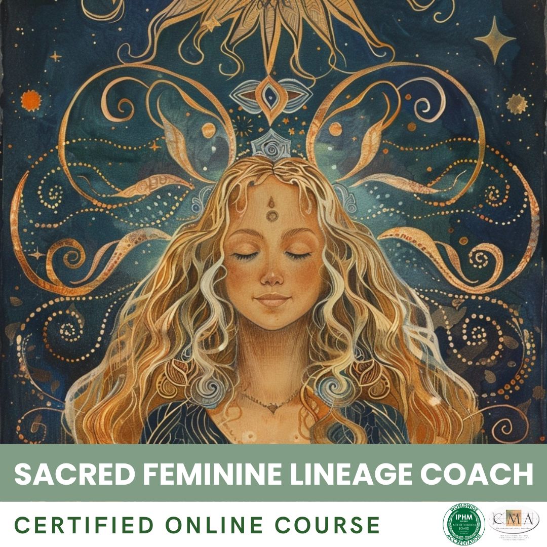 Login – Certified Excellence