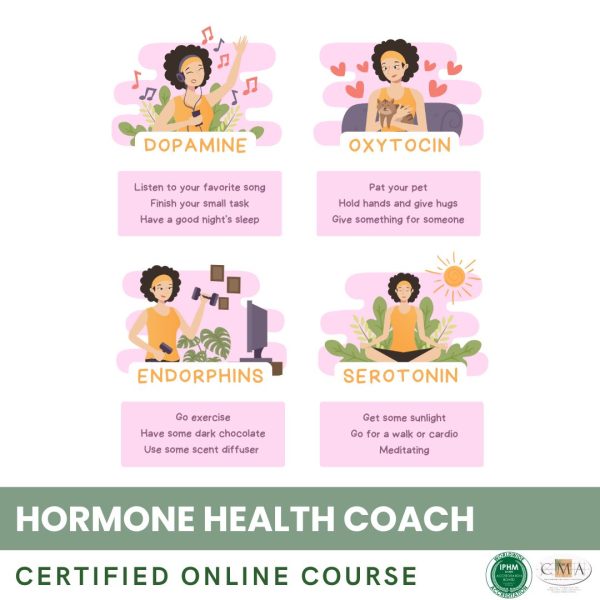 Login – Certified Excellence