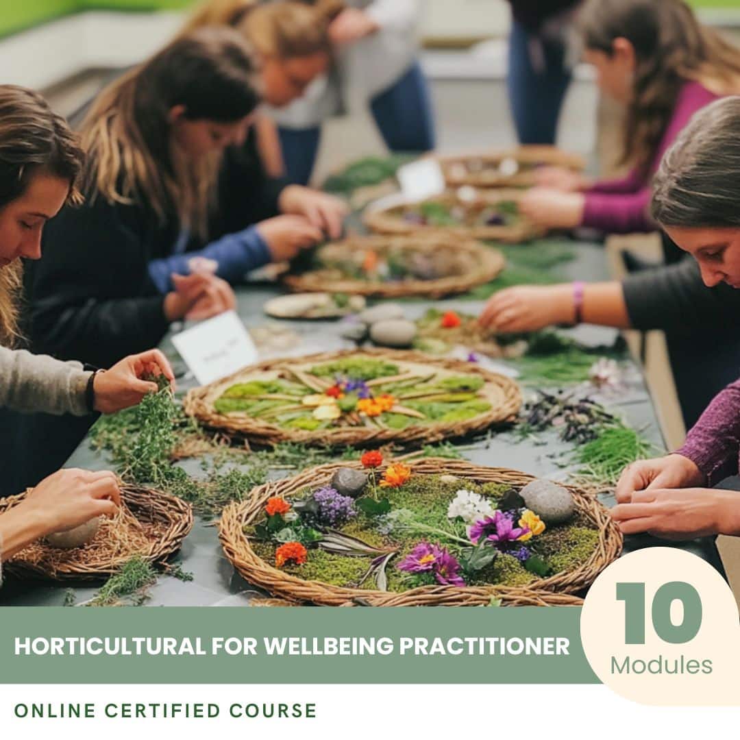 Login – Certified Excellence