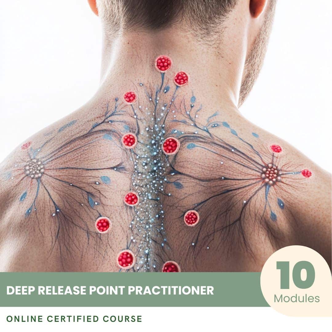 Certified Excellence