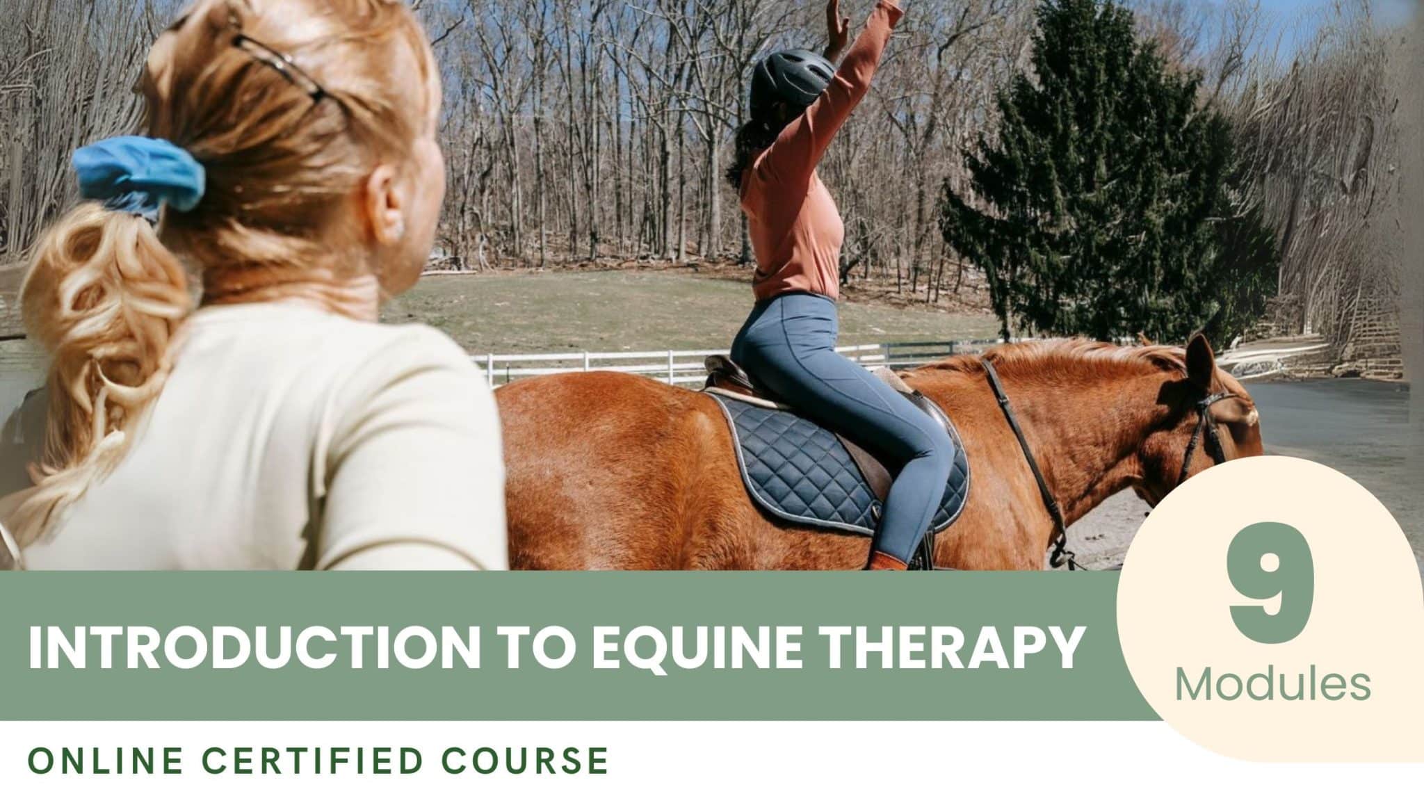 Introduction to Equine Therapy – Certified Excellence