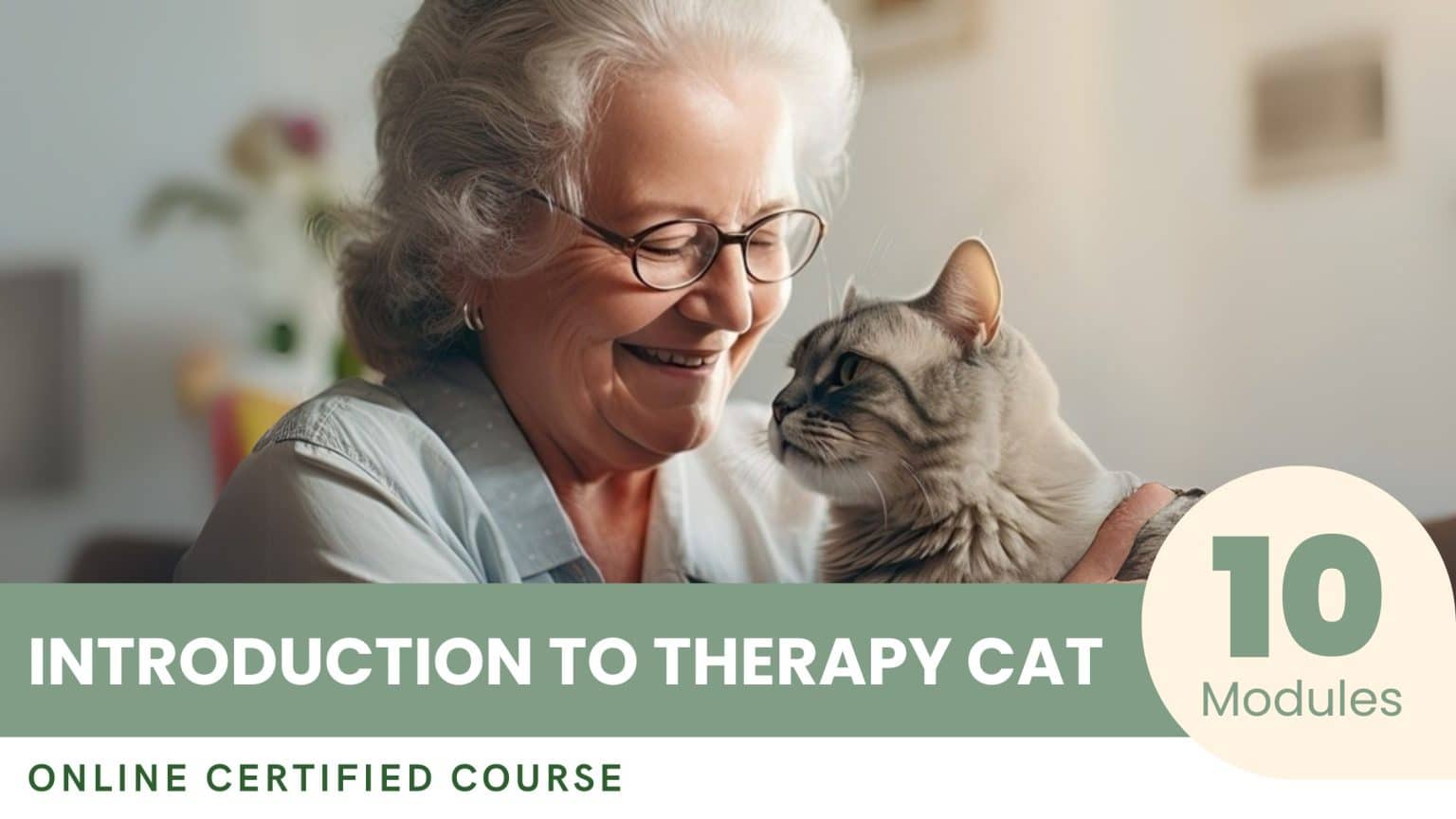 Introduction to Therapy Cat – Certified Excellence