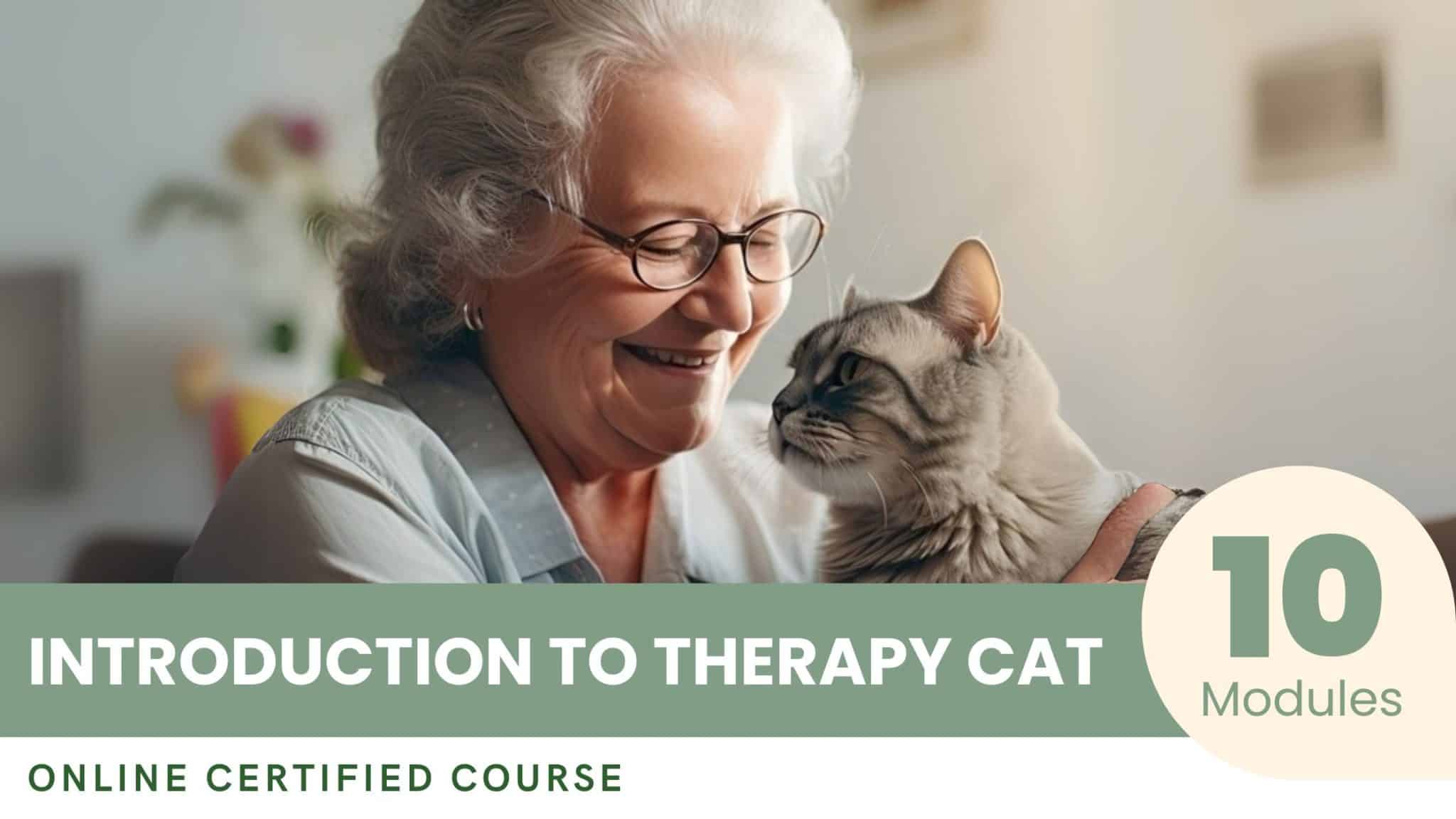 Introduction to Therapy Cat – Certified Excellence