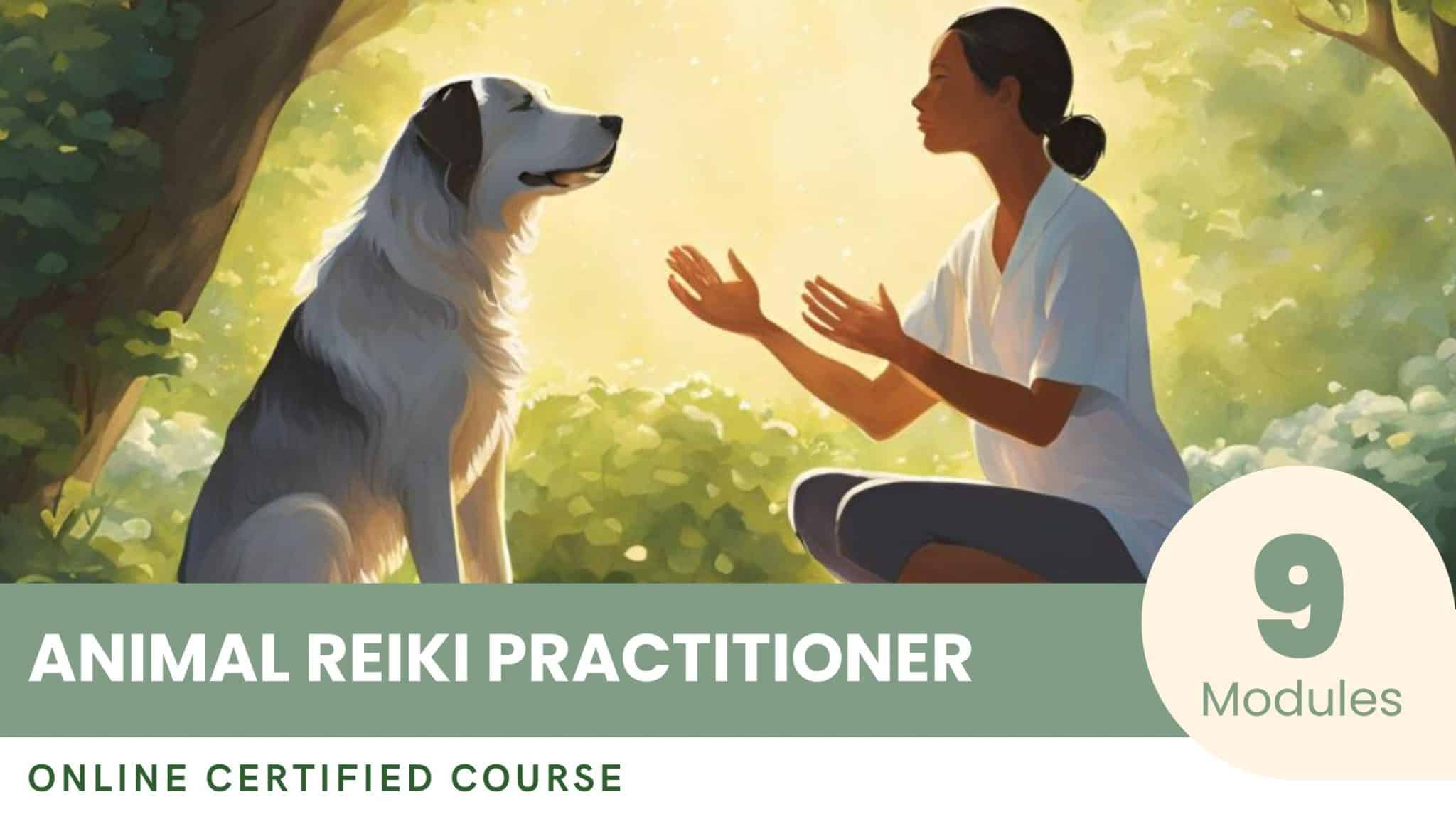 Courses – Certified Excellence