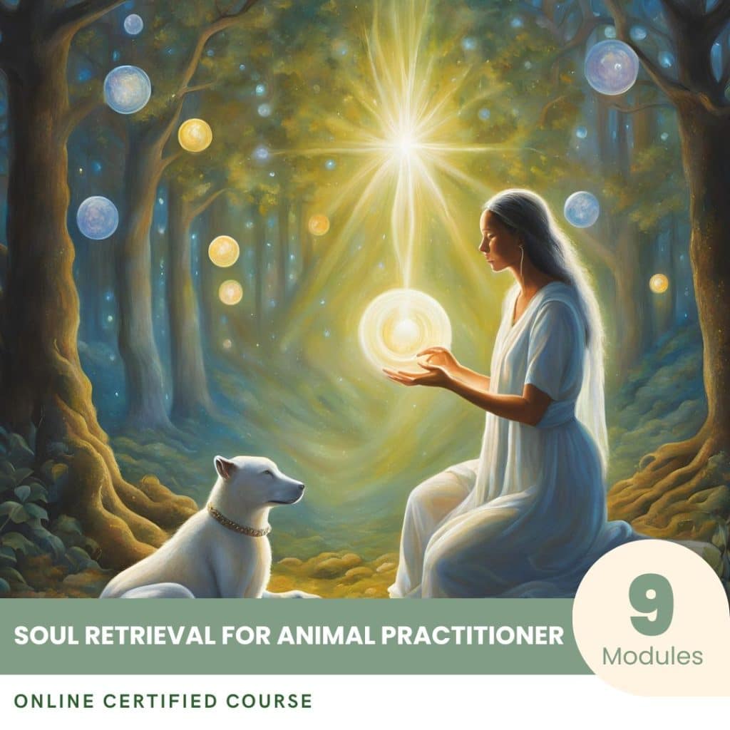 Intro – Certified Excellence