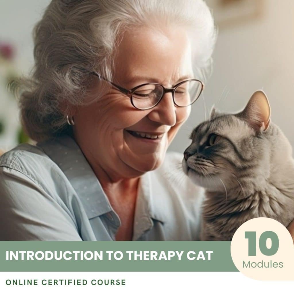 Login – Certified Excellence