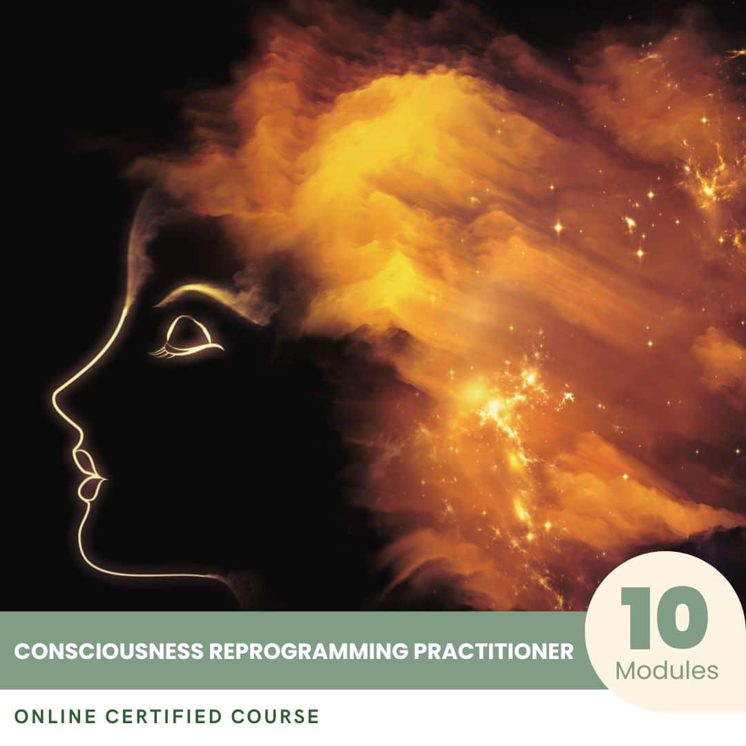 Login – Certified Excellence