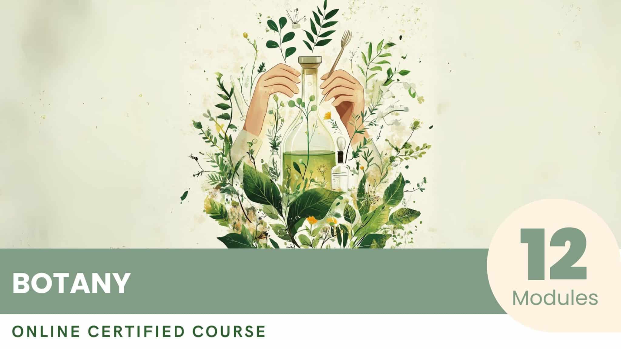 Excellence Program in Botany – Certified Excellence