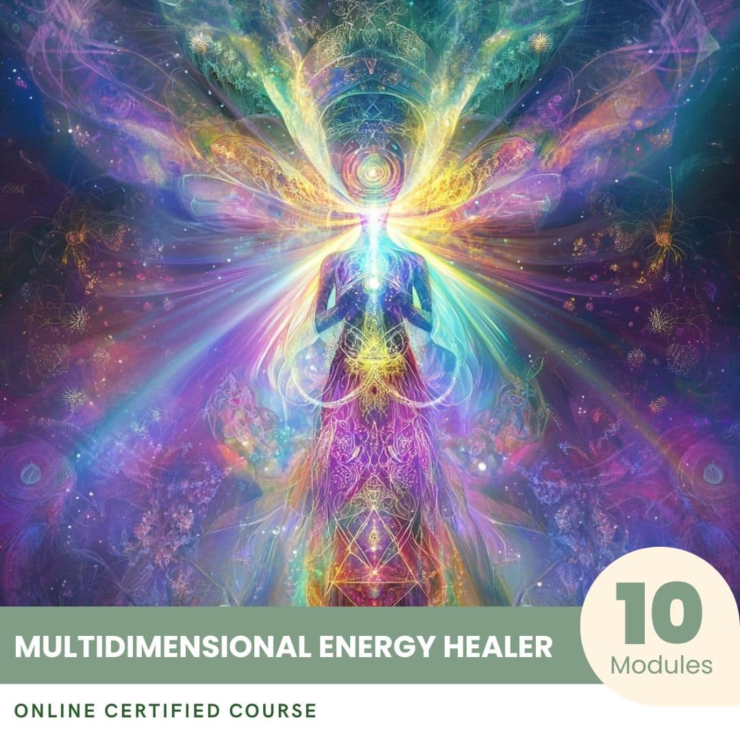 Login – Certified Excellence