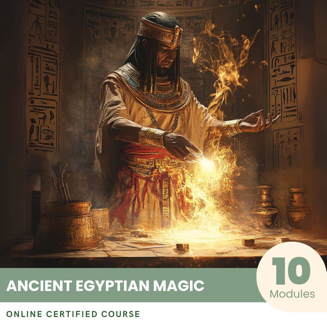 Login – Certified Excellence