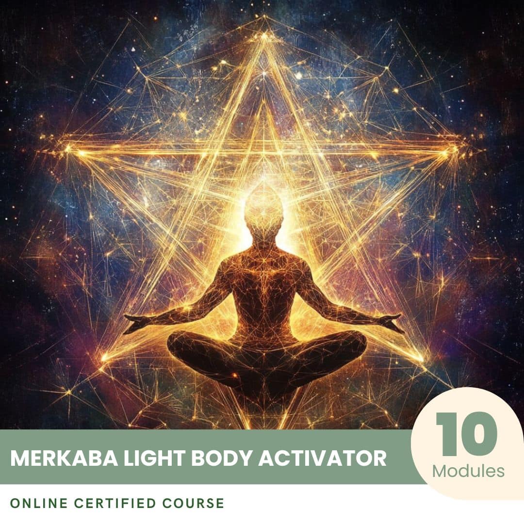 Intro – Certified Excellence